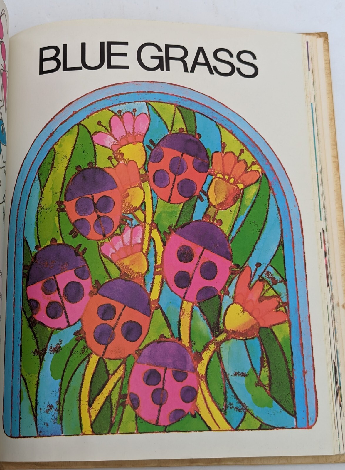 Rainbows by William K. Durr 1971 Houghton Mifflin Readers Book Vtg ...