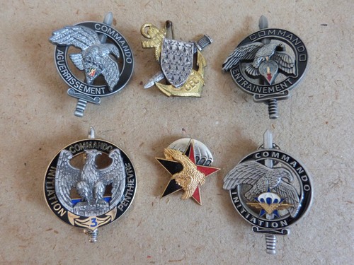 lot 6 insignes militaires armée de terre - brevets commando | eBay