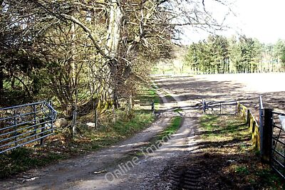 Photo 6x4 Access to the River Dee Neuk, The/NO7397 From Balbridie ...