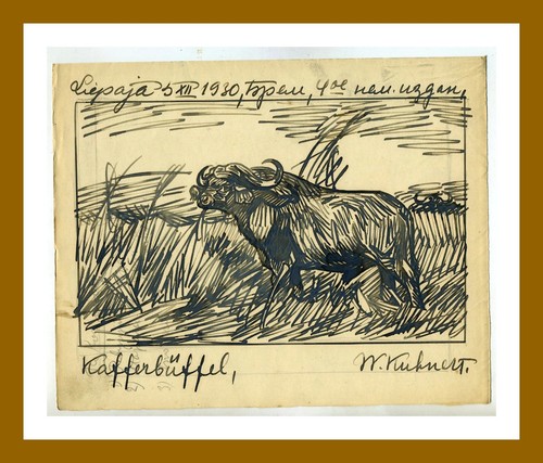 1930 Buffalo Büffel Russische Kunst Russian Art Ivan Sermoskin Original ...