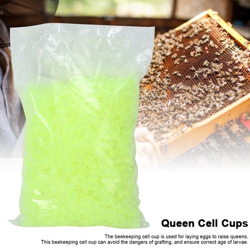 1000pcs Queen Cell Cups Queen Rearing System Honey Bee Beekeeping ...