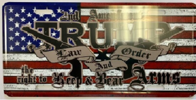 TRUMP 2024 SECOND AMENDMENT RIGHTS TO BEAR ARMS 6x12" Aluminum License ...