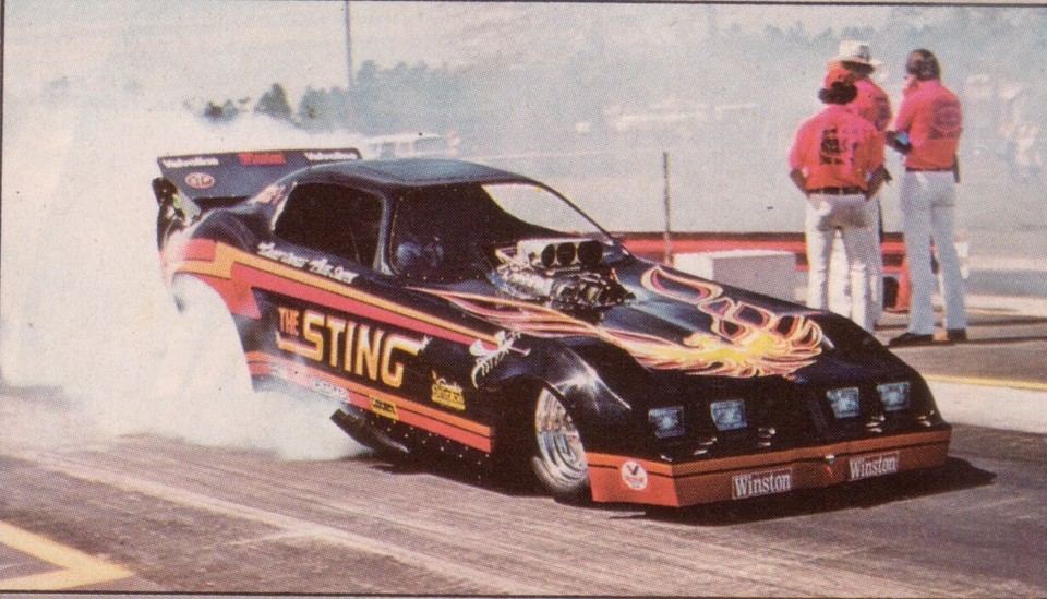 Larry Coogle's STING Trans-Am 1/24 or 1/25th Scale FUNNY CAR Decal | eBay