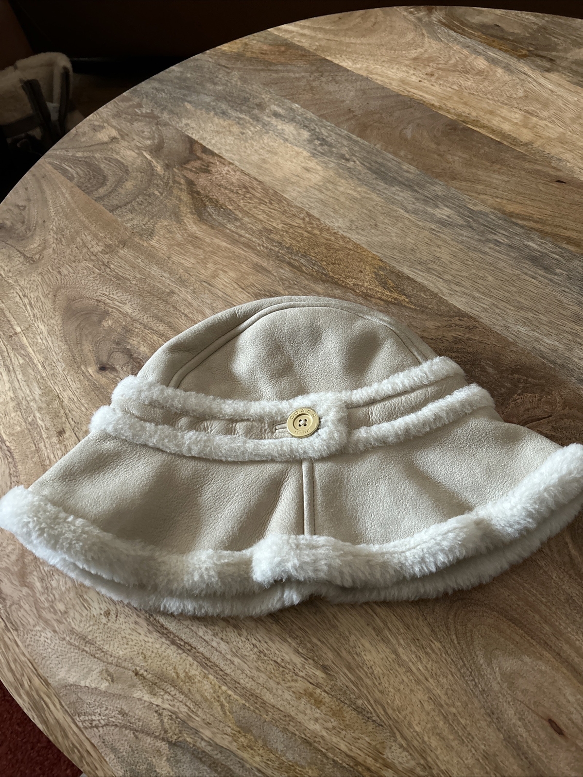 Coach Shearling Hat - Gem