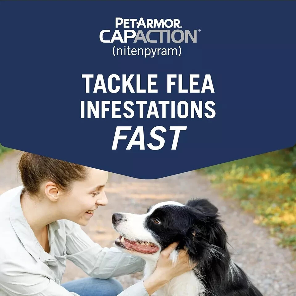 6 Tablets PetArmor Oral Flea Medication Pills For Dogs Medium & Large ...