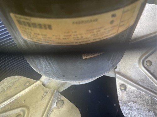 Genteq F48E06A48 - OEM Condenser Fan Motor 1/4 HP -York S1-02426020700 ...