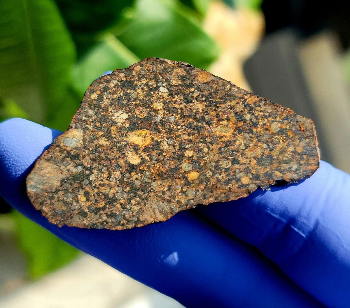 Chondrite Meteorites