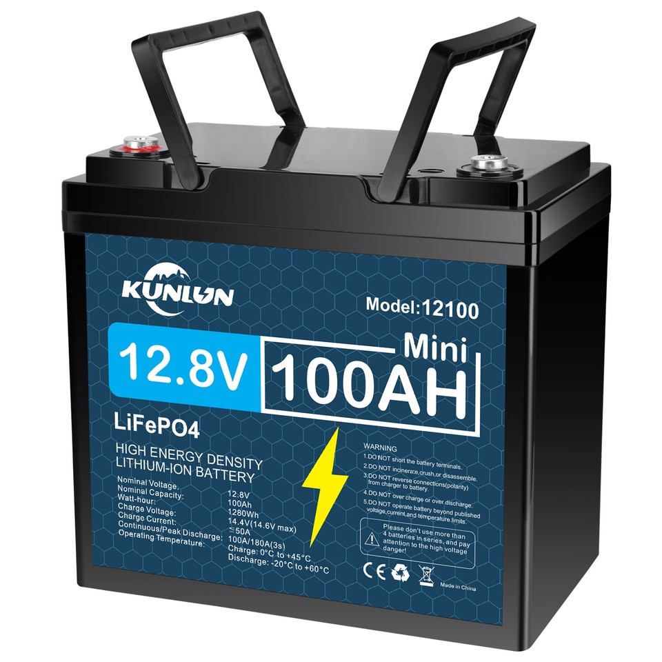 2/3/4 Pack 12V 100Ah LiFePO4 Lithium Battery, Built-in 100A BMS, for ...