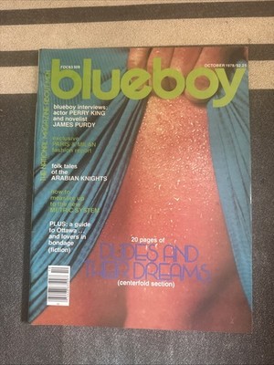 A "BLUEBOY" OCT 1978, 20 PAGES OF DUDES & THEIR DREAMS CENTERFOLDS, NEAR MINT | eBay