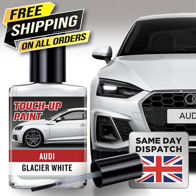 Audi Glacier White LS9R Touch Up Paint Repair Kit for Chips & Scratches ...
