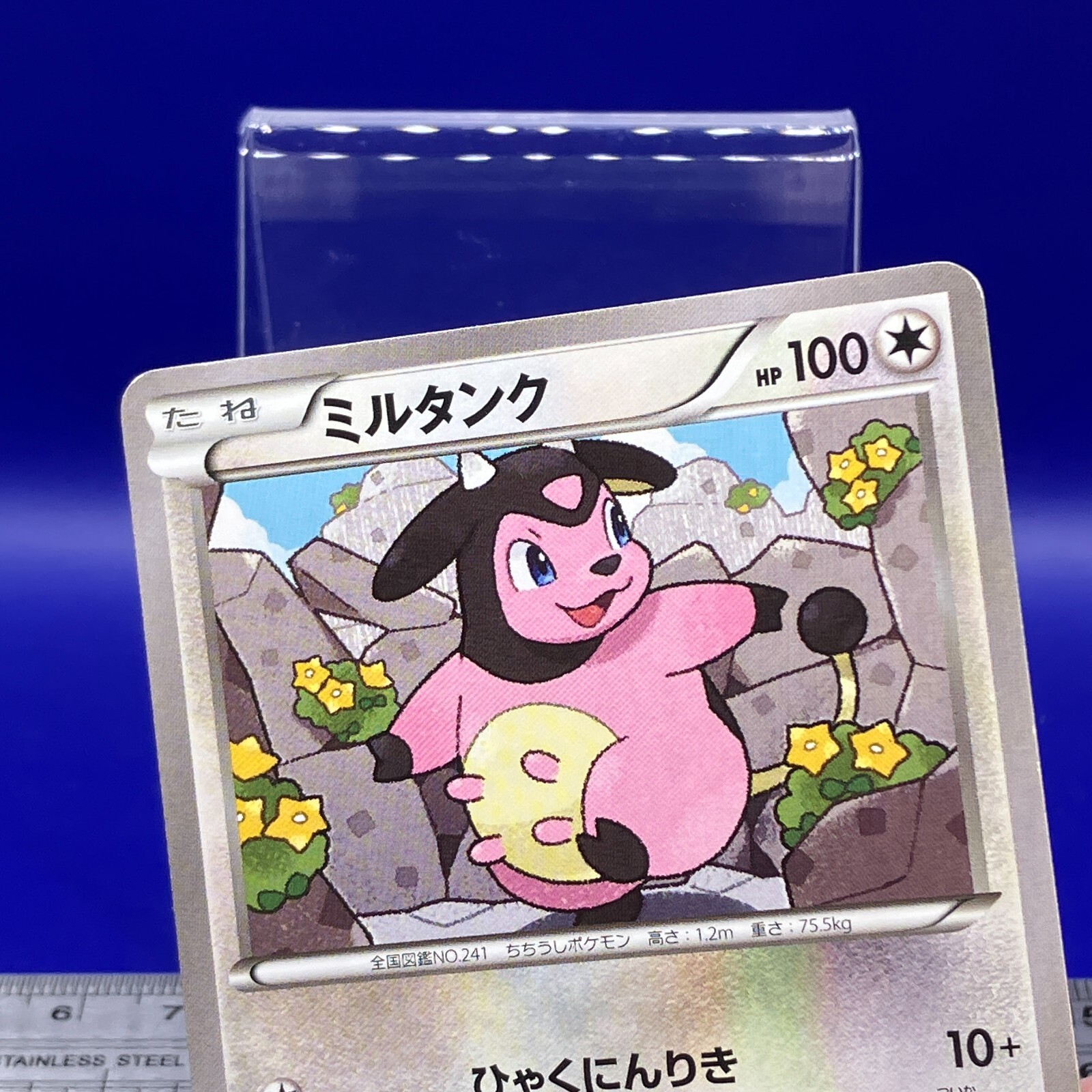 Miltank Pokemon Card 1st Ed 2014 069/080 XY2 Nintendo TCG Japanese ...
