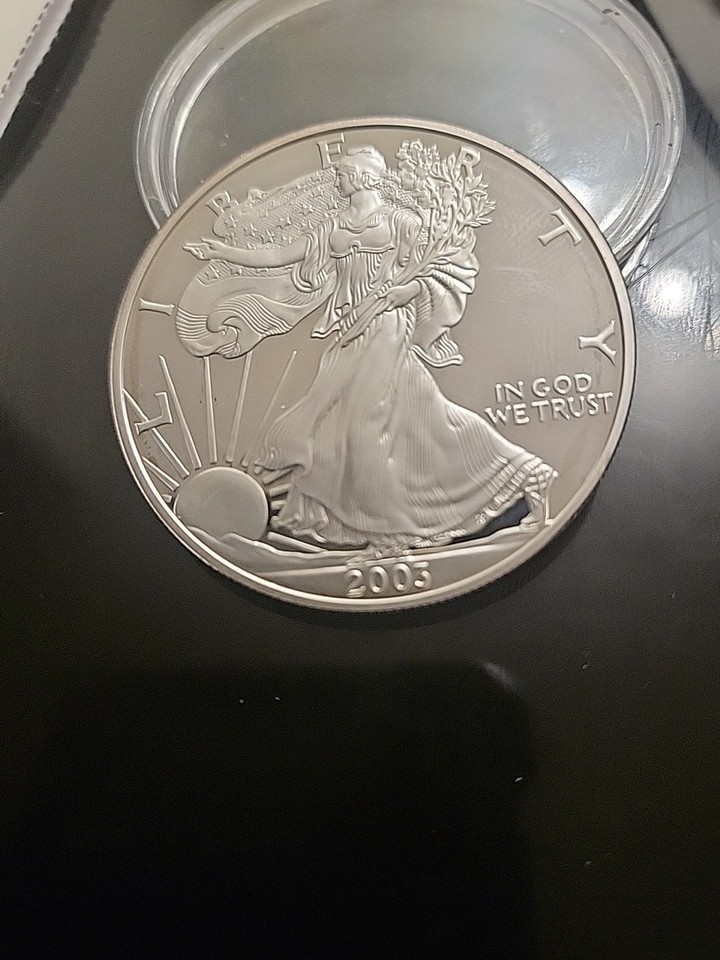 2003 UNITED STATES USA American Eagle & Liberty SILVER Dollar Coin | eBay