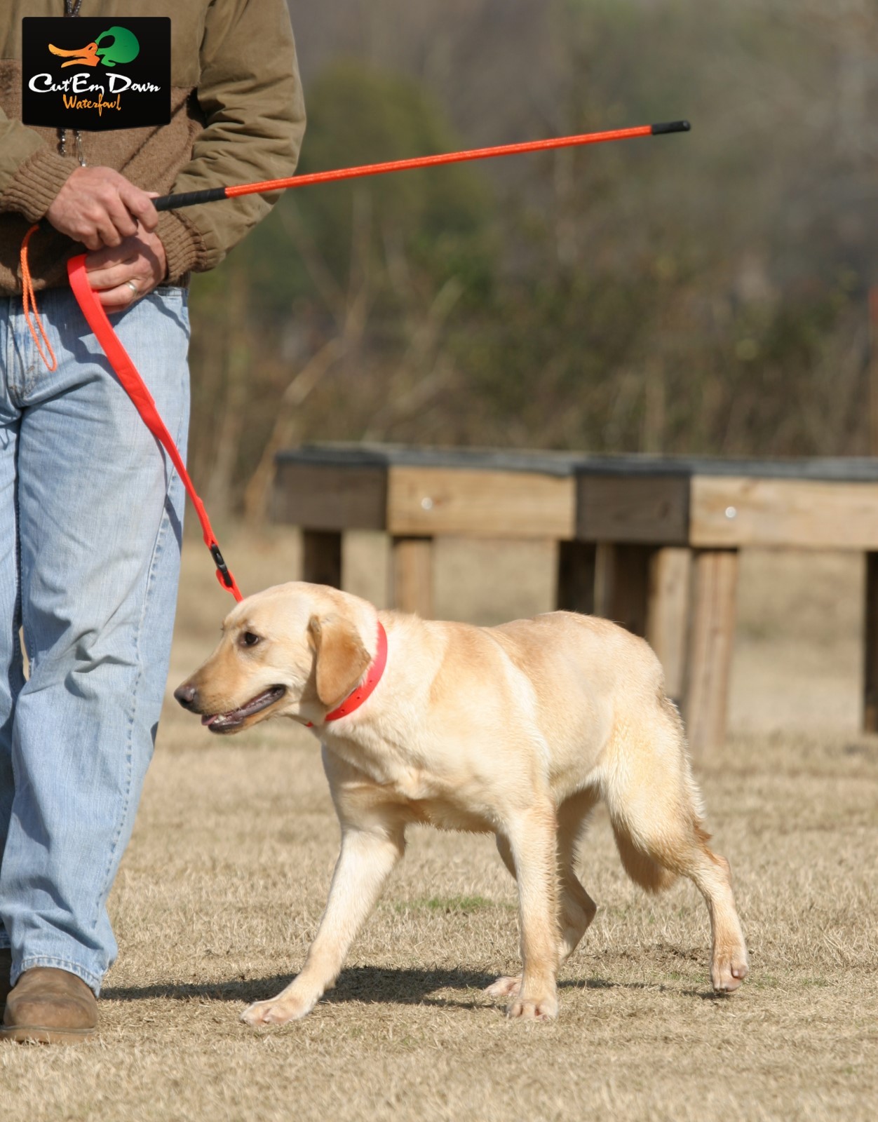 AVERY GREENHEAD GEAR GHG DOG TRAINERS TRAINING HEELING STICK BUMPER ...