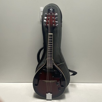 Vangoa Electric Mandolin | eBay