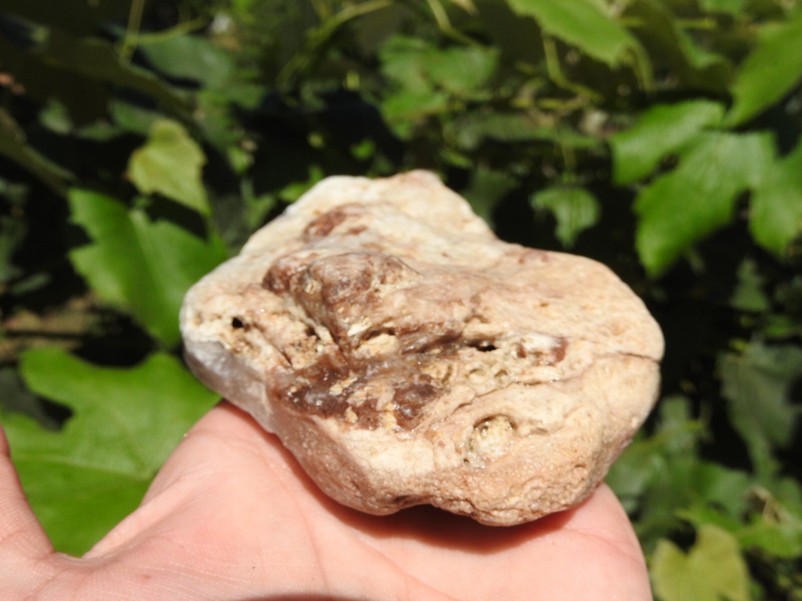 Water Washed Natural Beach / River Rock. Root Beer Chert Brown Agate ...