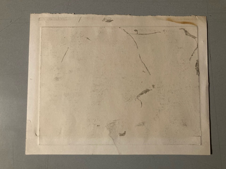 Eau Forte Engraving 1950 Landscape Tree Forest Art Lithograph Print Art ...