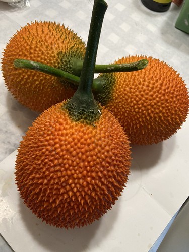 GAC FRUIT Melon Vine Momordica Cochinchinensis Seeds ( Hột Trái Gấc ...