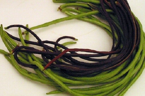 Chinese Long Bean Seeds Green and Red String Bean Seeds Beans Noodles ...