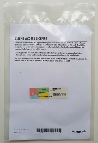 10 CAL USER (User) for Windows 2019 Server Standard Access License | eBay