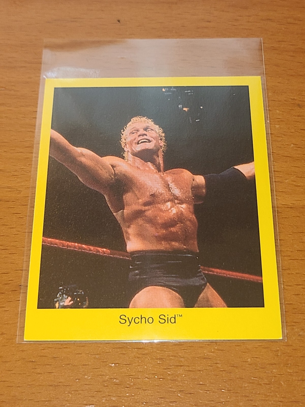 WWE WWF SID VICIOUS 1997 TITAN SPORTS TRIVIA GAME 1ST EDITION CARD ...