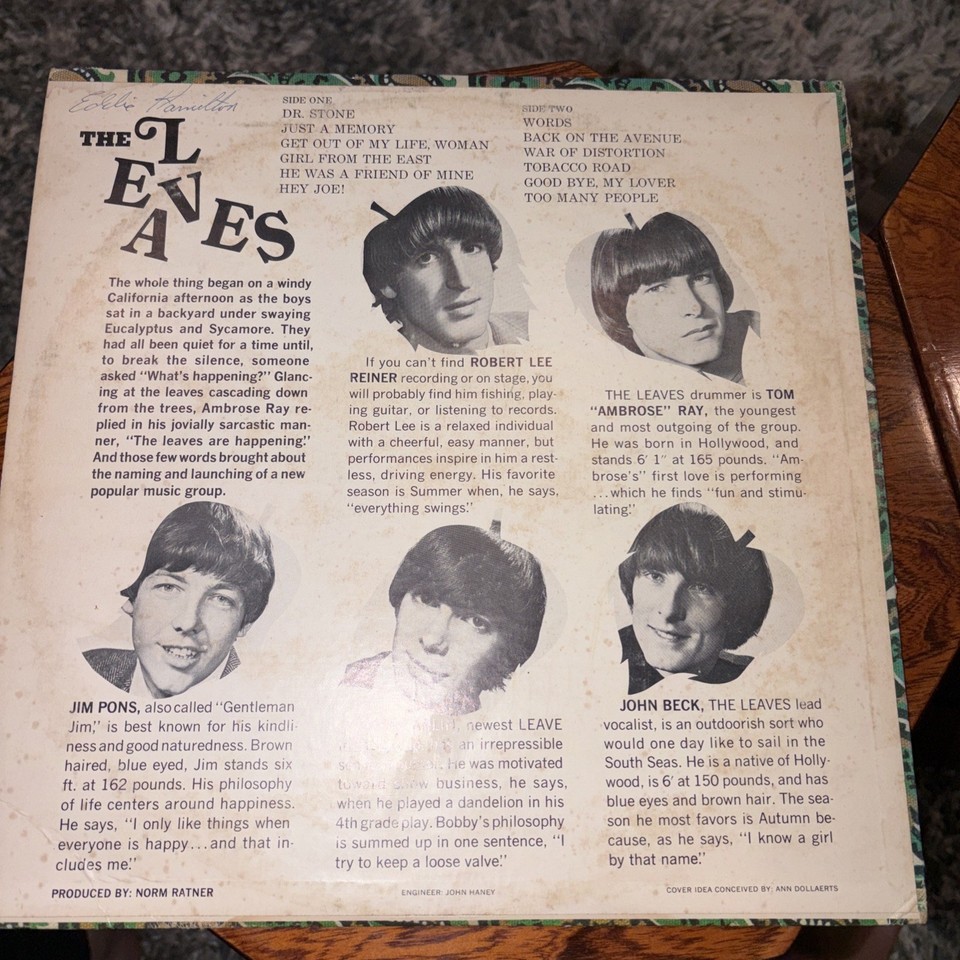 The Leaves Hey Joe Mira Records – Vinyl LP 3005 Mono 1966 | eBay
