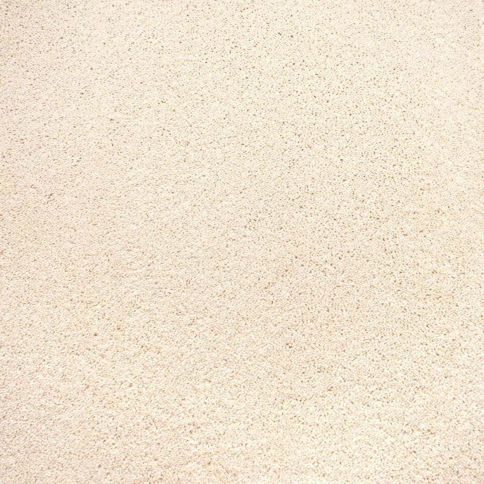 Cream Carpet, Cheap Cream Carpets, Twist & Saxony Pile Cream Carpets ...