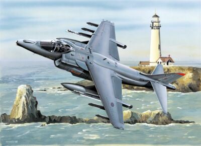 Trumpeter 02287 - 1:3 2 Raf Harrier GR.MK7 - Neuf | eBay