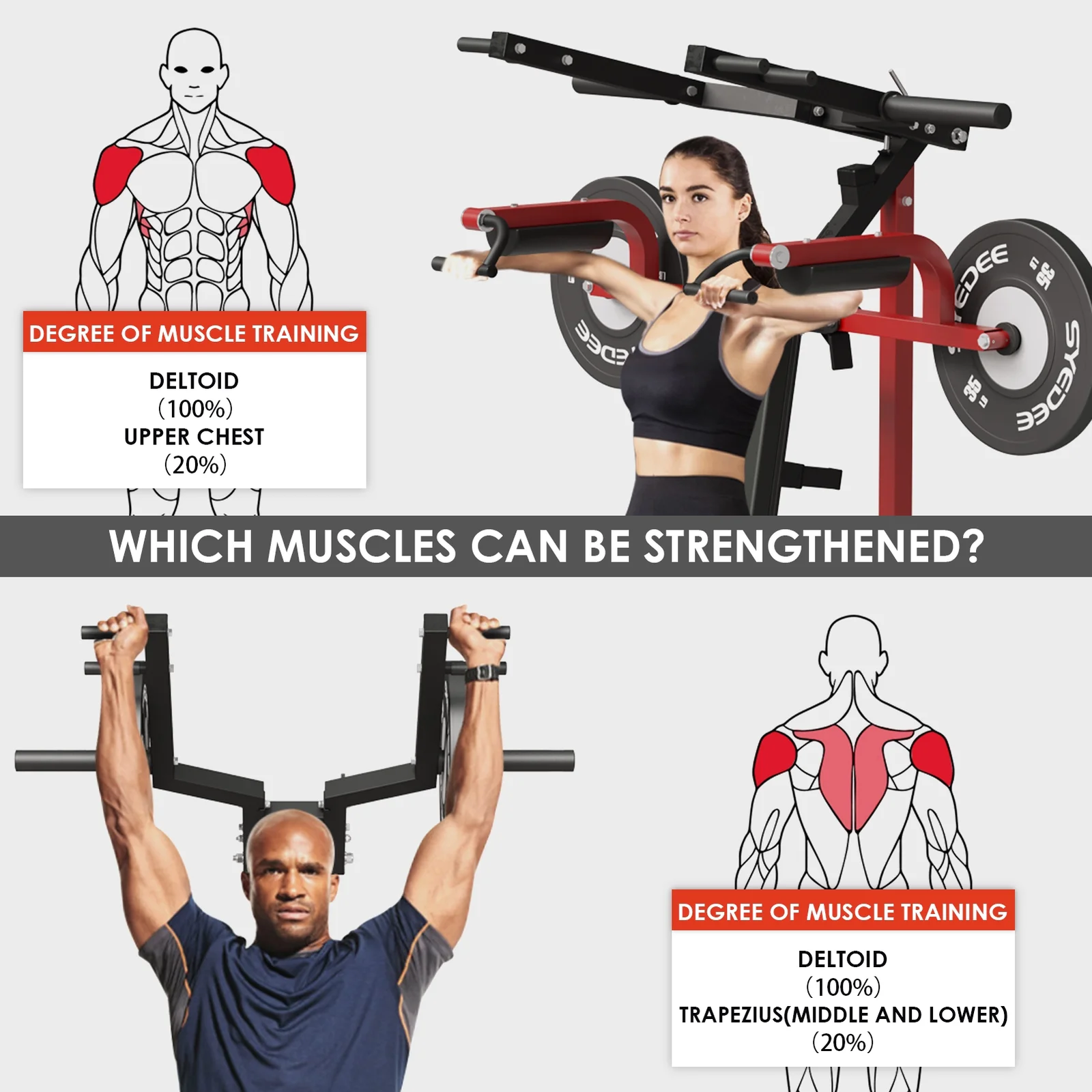 Plate Loaded Deltoid Shoulder Press Machine Adjustable Back Rest Home ...