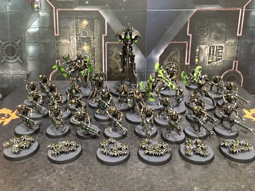 Necron Army Indomitus Commission Warhammer 40k Skorpekh Destroyers ...