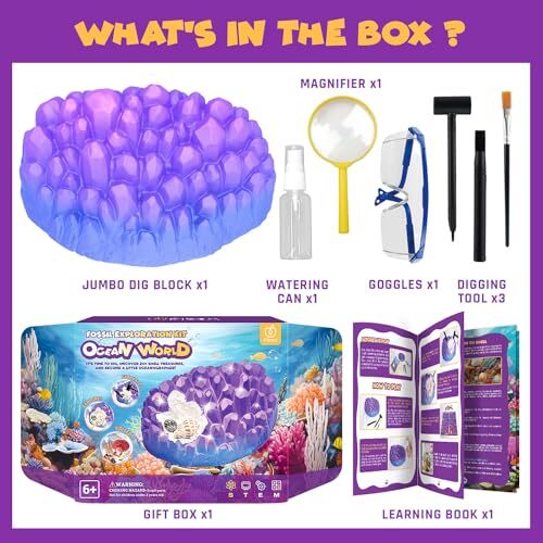 Ocean Fossil Dig Kit, Dig up 20+ Real Shells & Snails, Fun Science ...