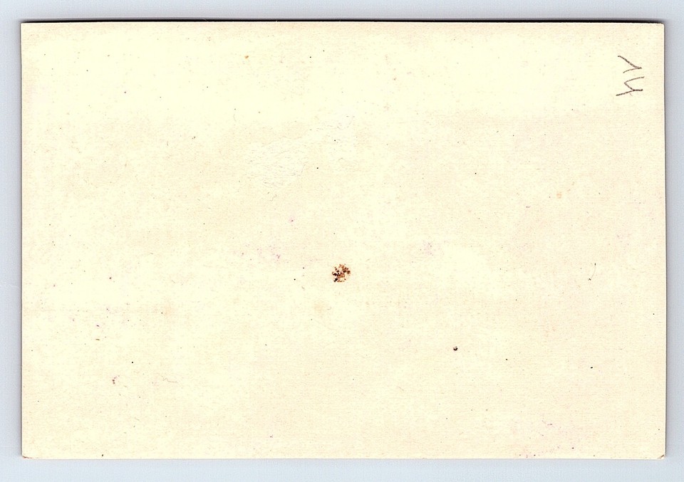 Trade Card St. Louis Beef Canning Co Cooked Corned Beef | eBay