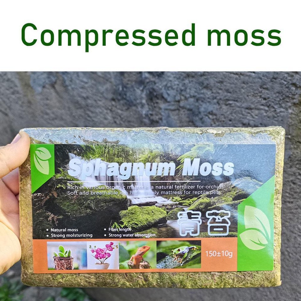 Compressed Sphagnum Moss for Potted Plant Orchid Potting Mix Peat Moss ...