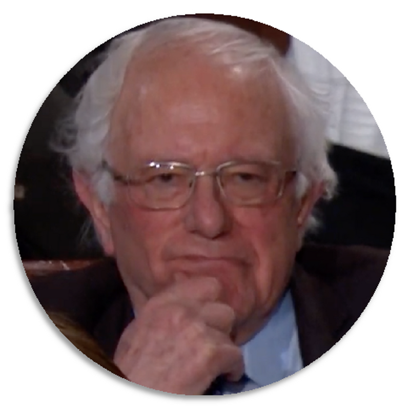 Bernie Sanders Thinking Grumpy Face - 100 Pack Circle Stickers 3 Inch ...