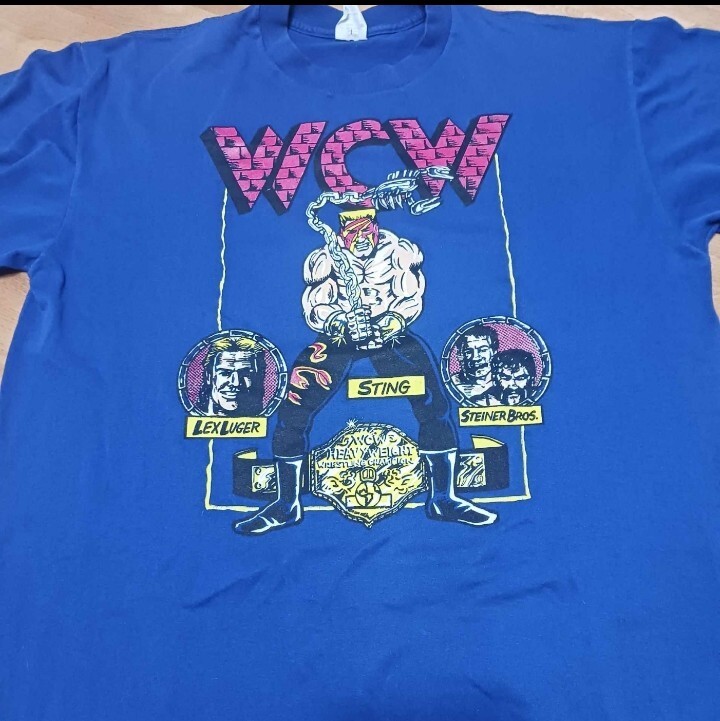 Rare Vintage WCW 1991 Sting, Lex Luger, Steiner Bros … - Gem