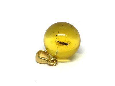 AMBER PENDANT INSECT Gift Round Natural BALTIC AMBER Silver 925 Gold 3 ...