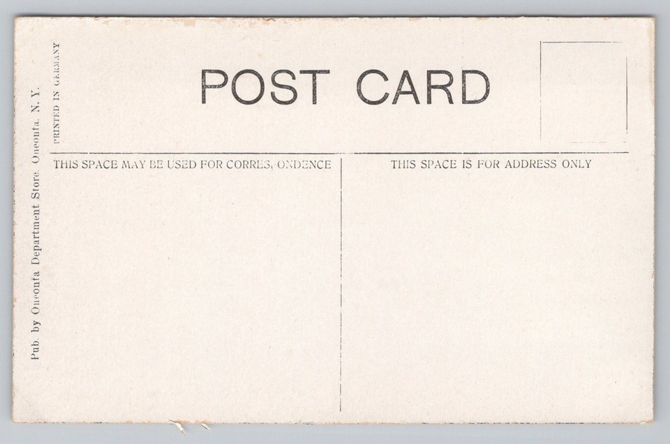 Oneonta NY Bird's Eye View Old Homes Postcard | eBay