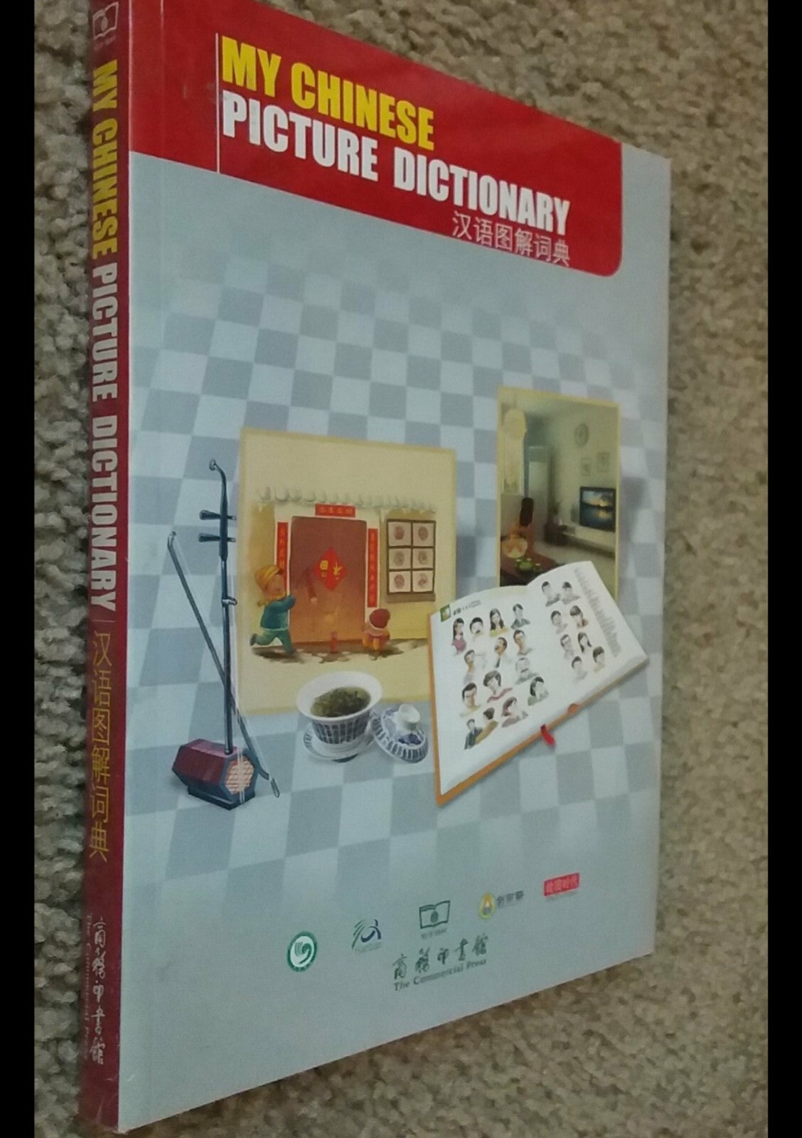 NEW My Chinese Picture Dictionary - 15 chapters | eBay