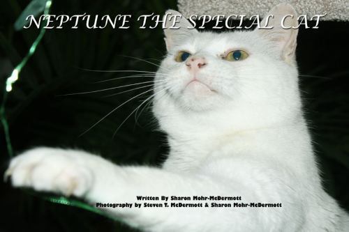 Neptune the Special Cat : Written by Sharon Mohr-McDermott with ...