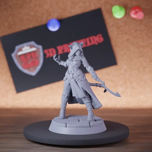 Female Fighter Miniature Leonin Mini Dungeons and Dragons DnD 5e TTRPG ...