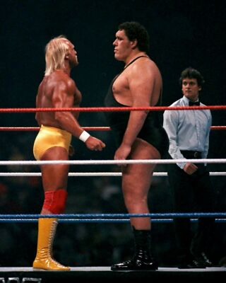 Andre The Giant WWF WWE Hulk Hogan WRESTLING 8x10 Photo | eBay