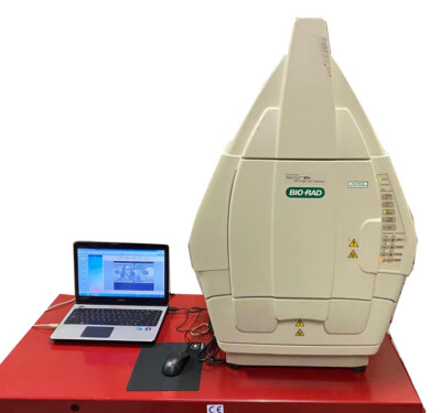 Biorad Gel Doc XR+ Imaging System with Image Lab Software & Laptop ...