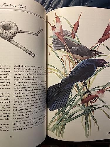 Menaboni's Birds Menaboni, Athos and Menaboni, Sara 9780517662953| eBay