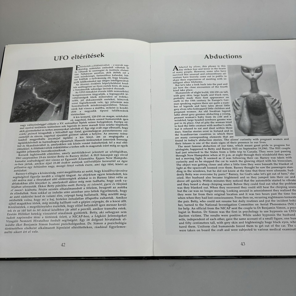 Boros Attila Elfeledett Jovo UFO Art Erich Von DanikenEnglish Hungarian ...