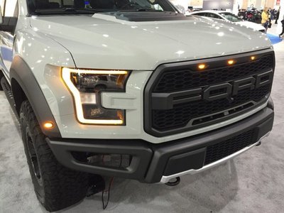 BASF (OEM) Touch Up Paint Bottle for Ford *DR* Avalanche Gray | eBay