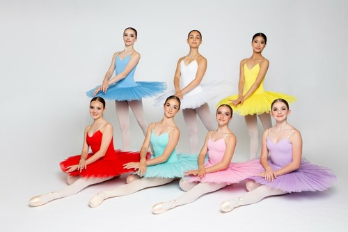 Professional Platter Tutu Ballet Hoop Wire Blue Pink Purple Mint White ...