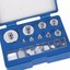 Precision Steel Calibration Weight Kit Set with Tweezers for Balance ...