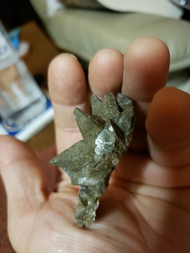 Chocolate Dogtooth Raven Wing Calcite Cluster Santa Eulalia Chihuahua ...