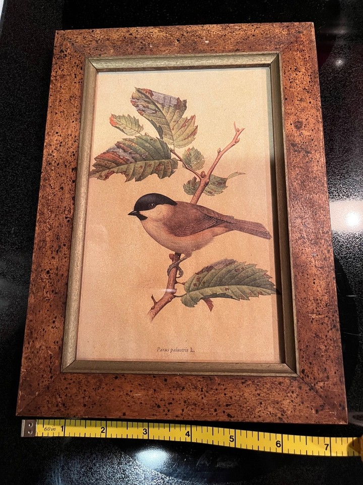 H. Hal Chicago Framed Bird Prints Antiqued Collection Set Of 2 | eBay