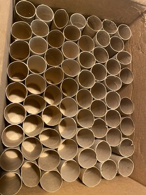 Lot of 1about 69 Toilet paper rolls, school projects, Crafts Art | eBay