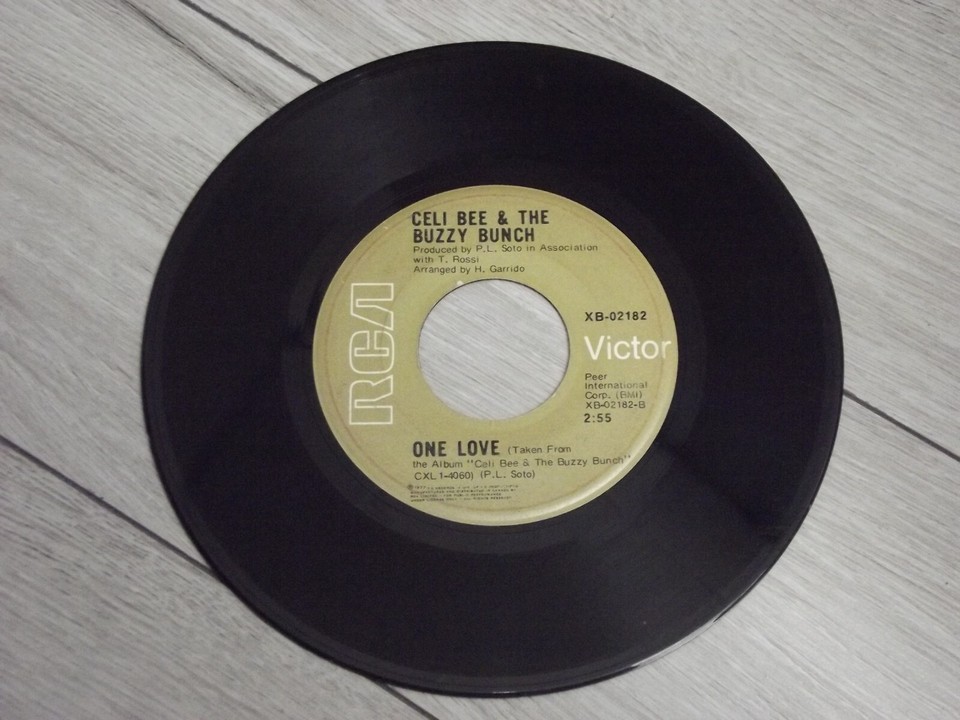 Celi Bee & The Buzzy Bunch / One Love Vinyl 7'' 45 RPM | eBay